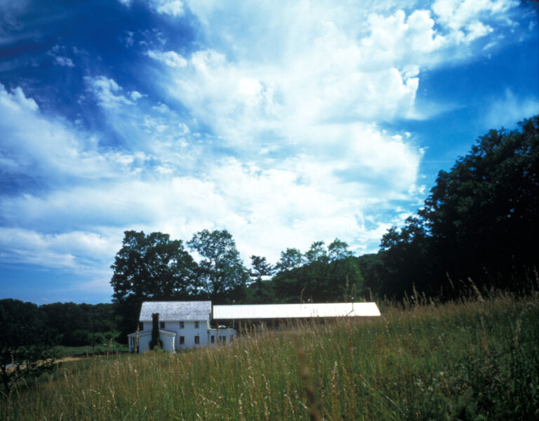 Linear House | GLUCK+